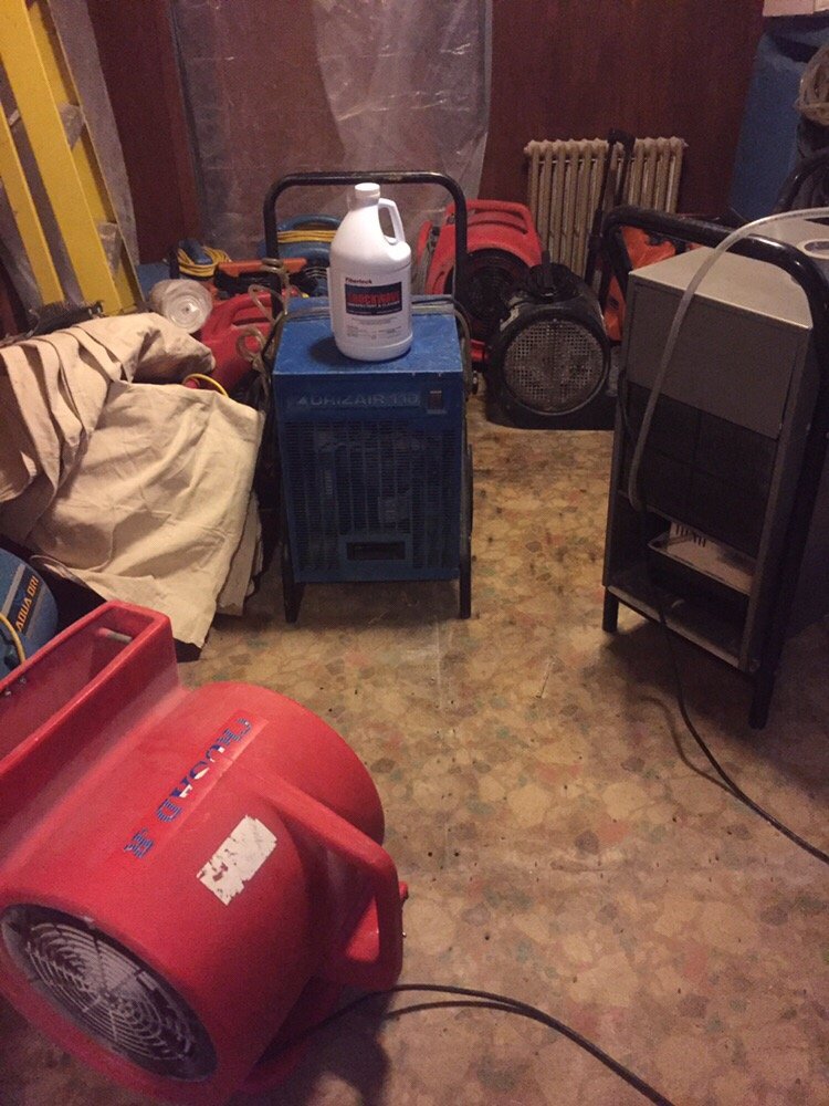 MOLD REMOVAL BOSTON - Updated July 2025 - 12 Photos - 56 Moody St ...