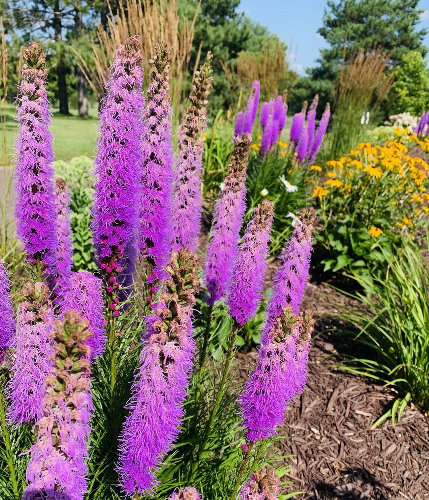 ONEKA RIDGE GOLF COURSE - Updated December 2025 - 5610 120th St N ...