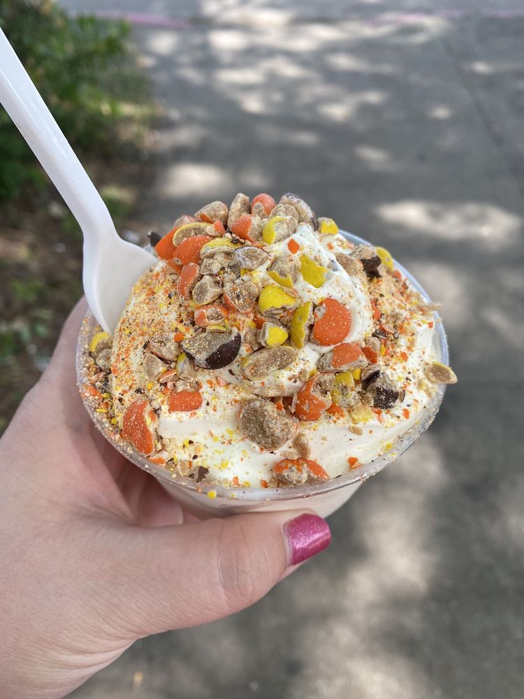 MOOSA’S - 60 Photos & 36 Reviews - Yelp