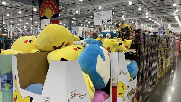 COSTCO WHOLESALE - Updated December 2025 - 130 Photos & 48 Reviews ...