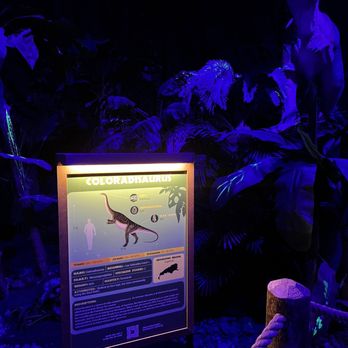 DINOS ALIVE - Updated December 2025 - 39 Photos & 13 Reviews - 31 15th ...