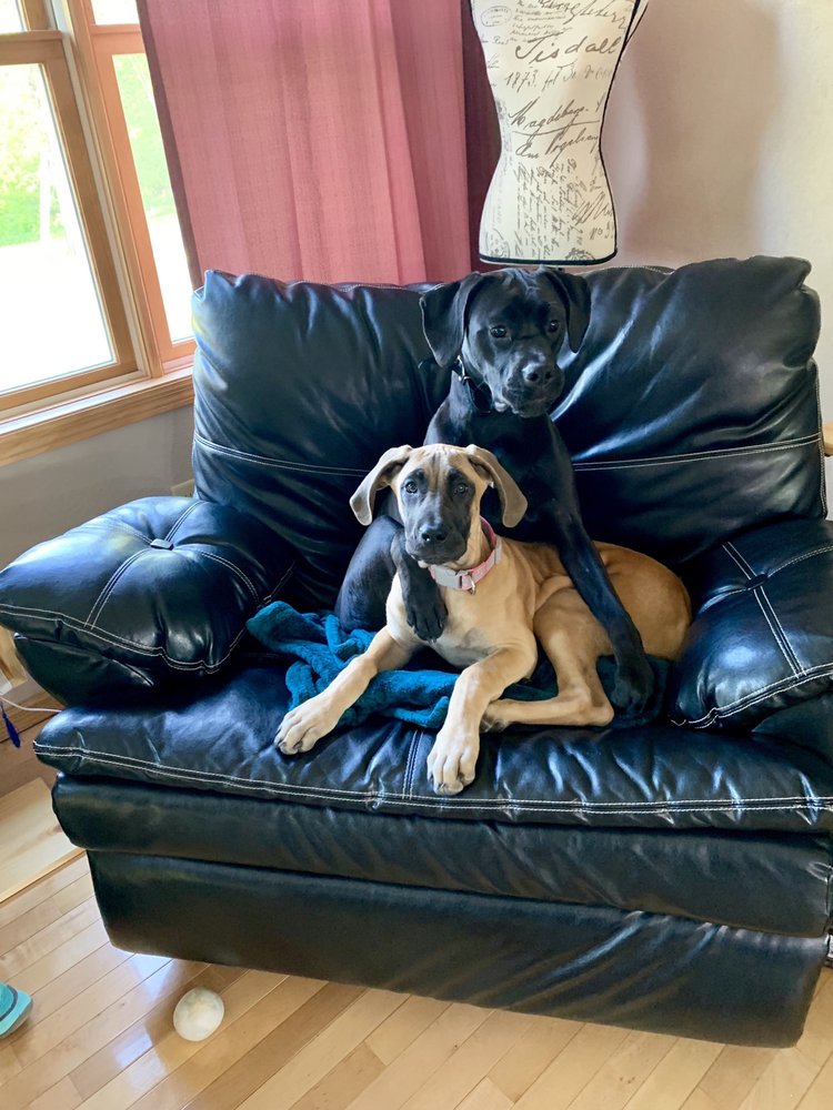 ROLFSON JOHN DVM - Updated July 2025 - 19664 340th St, Bagley ...