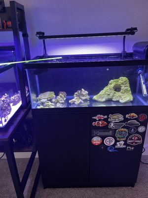 BIO REEF - Updated December 2025 - 10 Photos & 27 Reviews - 3653 Regent ...