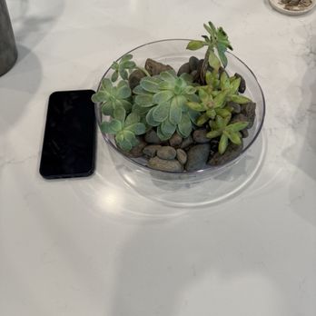 RUTH’S ROSES - Updated June 2025 - 601 Photos & 1092 Reviews - Ft ...