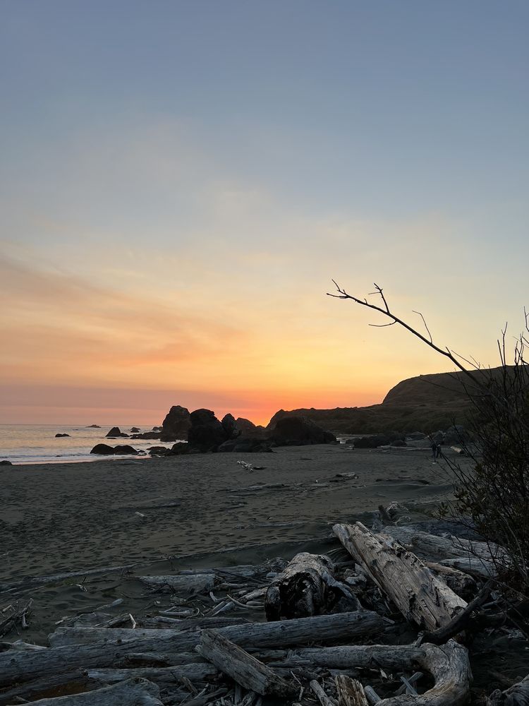 LONE RANCH BEACH - 61 Photos & 12 Reviews - Hwy 101, Brookings, Oregon ...