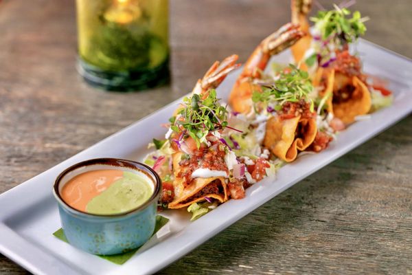 SOL AGAVE - Updated December 2025 - 416 Photos & 333 Reviews - 660 S ...