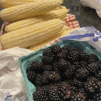 HOWARD FAMILY FARM - Updated January 2026 - 68 Photos & 12 Reviews ...