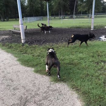 ALEXANDER DEUSSEN PARK - Updated June 2025 - 133 Photos & 54 Reviews - 12303 Sonnier St, Houston ...