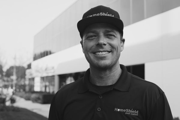 HomeShield Pest Control - Updated June 2026 - 182 Photos & 401 Reviews ...