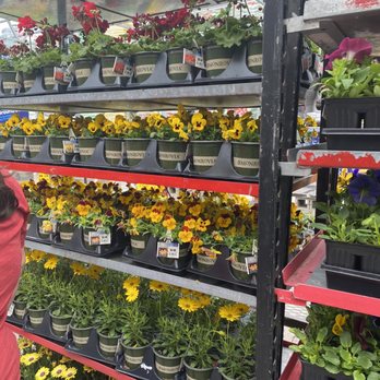 LOWE’S HOME IMPROVEMENT - Updated December 2025 - 84 Photos & 41 ...