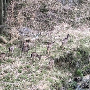 LAKE PRESIDENTIAL GOLF COURSE - Updated October 2025 - 39 Photos & 103 ...