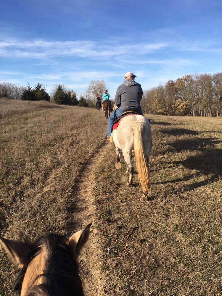 WILD ROSE EQUINE CENTER - 31 Photos & 16 Reviews - Horse Boarding ...