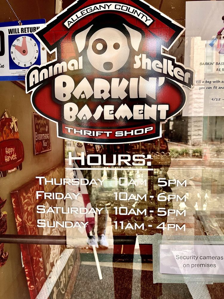 BARKIN BASEMENT - Updated August 2025 - 20 Photos - 45 Baltimore St ...