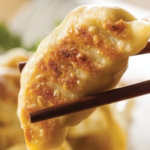 JAPAN XO - 50 Photos & 49 Reviews - 7811 Middle Poyner Dr, Raleigh ...