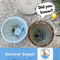 KANGAROO POOLS - 210 Photos & 30 Reviews - 28150 N Alma School Pkwy ...