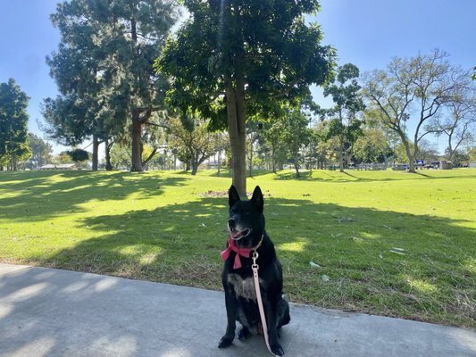 MODJESKA PARK - Updated December 2024 - 66 Photos & 24 Reviews - 1331 S ...