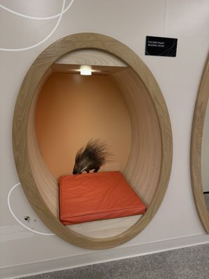 APPLETON PUBLIC LIBRARY - Updated January 2026 - 13 Photos - 200 N ...