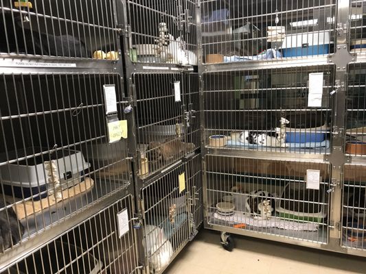 HAWS SCHALLOCK CENTER FOR ANIMALS - Updated December 2025 - 36 Photos ...