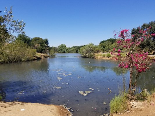 NEWHALL COMMUNITY PARK - 205 Photos & 89 Reviews - Dog Parks - Turtle ...