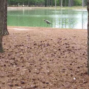 DELLINGER PARK - Updated October 2025 - 46 Photos & 13 Reviews - 100 ...