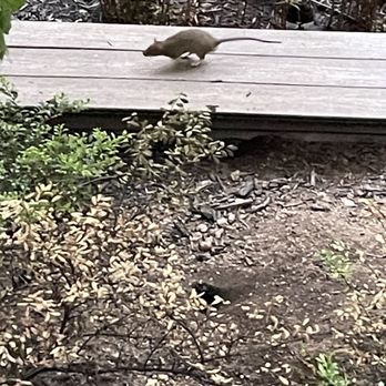 ARRIVE SILVER SPRING - Updated May 2025 - 91 Photos & 27 Reviews - 8750 ...