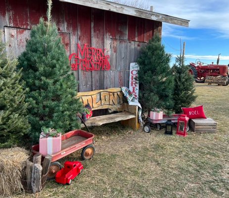 COLONY ACRES FAMILY FARM - Updated December 2025 - 198 Photos & 14 ...