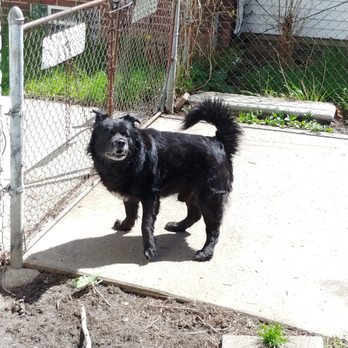 MICHIGAN HUMANE SOCIETY - Updated December 2025 - 31 Reviews - 7887 ...