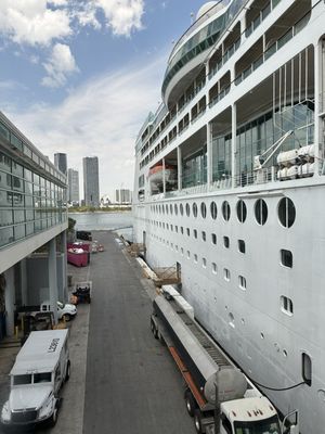 ROYAL CARIBBEAN CRUISE LINES - Updated November 2024 - 1573 Photos ...