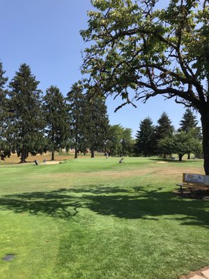 EVERGREEN GOLF CLUB - Updated January 2026 - 11694 W Church Rd NE ...