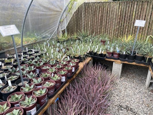 ONE GREEN WORLD - Updated May 2024 - 76 Photos & 66 Reviews - 6469 SE ...