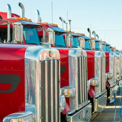 WAYNE TRANSPORTS INC. - Updated July 2025 - 115 Photos - 14345 Conley ...