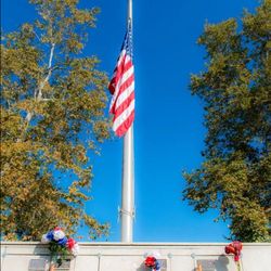 LOS GATOS MEMORIAL PARK - 95 Photos & 38 Reviews - 2255 Los Gatos ...