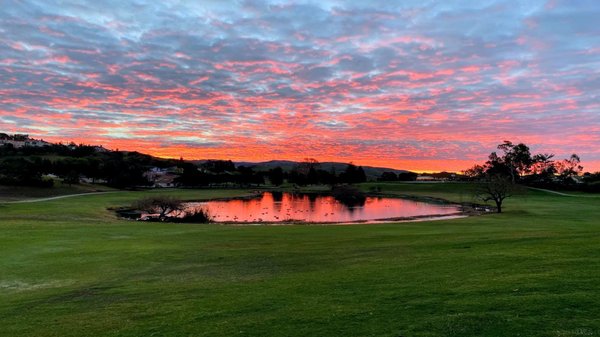 BAY VIEW GOLF CLUB - 93 Photos & 41 Reviews - Golf - 1500 Country Club ...