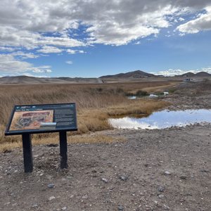 TECOPA PALMS THERAPEUTIC HOT SPRINGS RV PARK & RESORT - Updated March ...