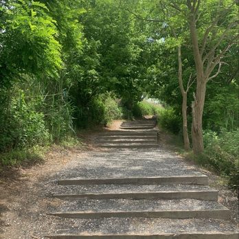 Norman J Levy Park & Preserve - 294 Photos & 43 Reviews - Parks - 1600 ...