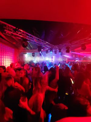 COPA NIGHTCLUB - 357 Photos & 238 Reviews - 244 E Amado Rd, Palm ...