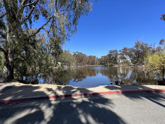 SCRIPPS MIRAMAR RANCH LIBRARY - Updated December 2025 - 105 Photos & 57 ...