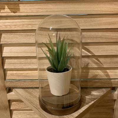 RICE BOX - 40 Photos & 21 Reviews - 320 S Main St, Jonesboro, Arkansas ...