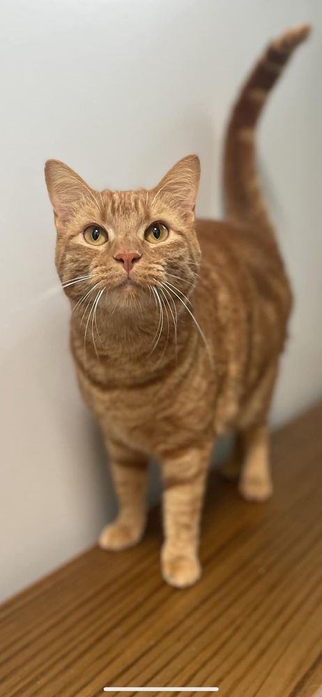 BIG SKY CARES - Updated November 2025 - Request Information - 82060 LA ...