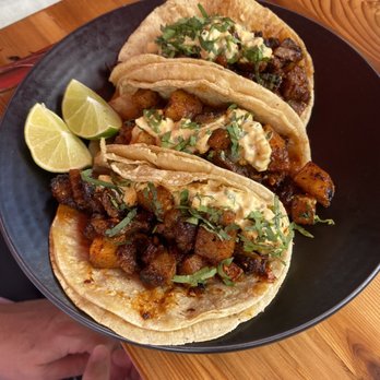 TOLON - Updated January 2025 - 396 Photos & 327 Reviews - 614 S ...