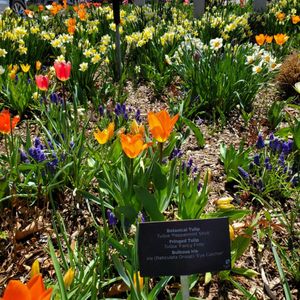 TOOGOOD POND - Updated August 2025 - 145 Photos & 40 Reviews - 280 Main ...