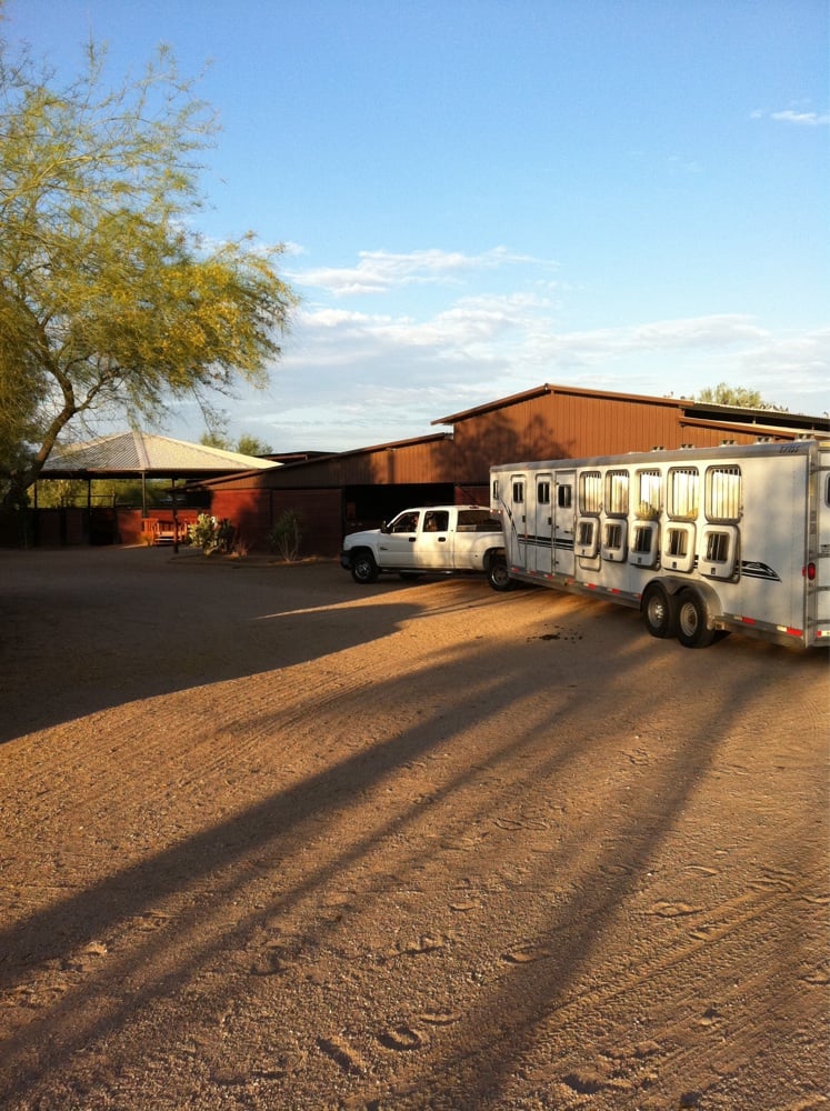 BEETHE ARABIANS - Updated December 2025 - 10 Photos - 27814 N 44th St ...