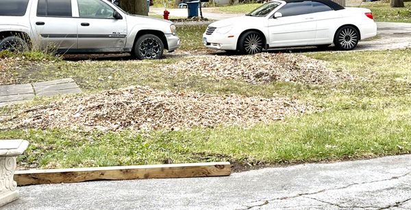 SMITTY’S TREE SERVICE - Updated October 2025 - 84 Photos & 61 Reviews ...