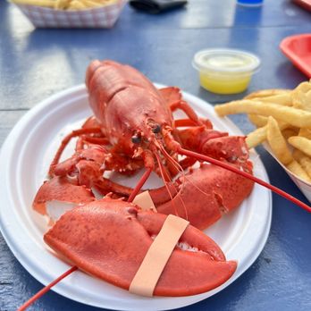 THE LOBSTER POOL - Updated May 2024 - 182 Photos & 303 Reviews - 329 ...