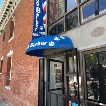 THE DOG BARBER - Updated September 2025 - 162 Photos & 233 Reviews ...