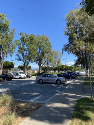 LA COUNTY LIBRARY - SORENSEN LIBRARY - Updated December 2025 - 37 ...