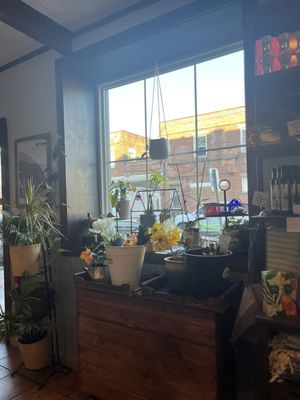 MASA MIDTOWN - Updated October 2024 - 15 Photos & 31 Reviews - 666 ...