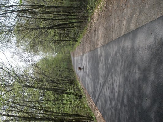 WINDHAM RAIL TRAIL - Updated October 2025 - 31 Photos & 19 Reviews - 6 ...