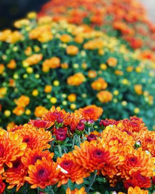 Upperco, MD Map & Directions - MapQuest