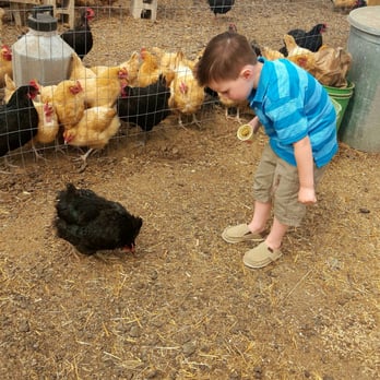 PEZZA FARM AND GARDEN CENTER - Updated January 2025 - 64 Photos & 16 ...